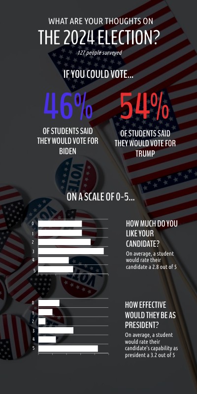2024 election opinion poll