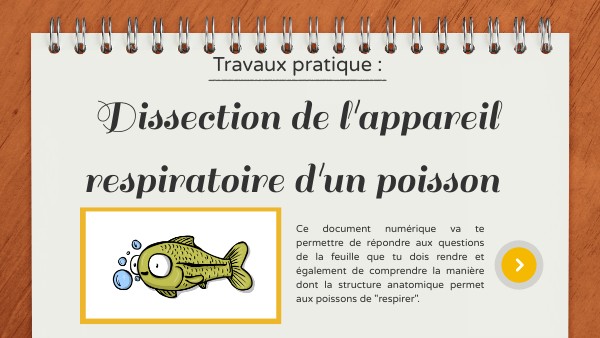 Dissection tête de poisson 5ème | Genially