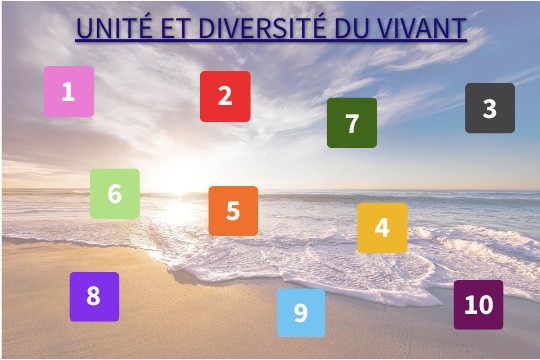 Learning apps - Classification