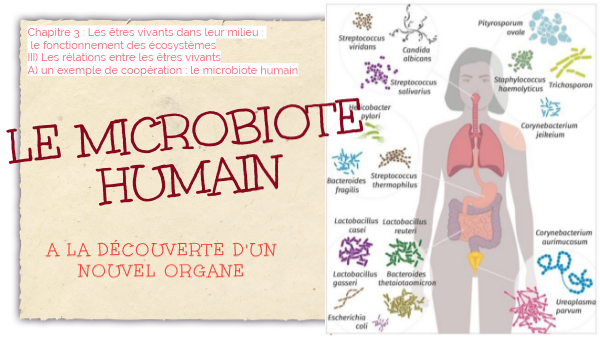 Le microbiote humain