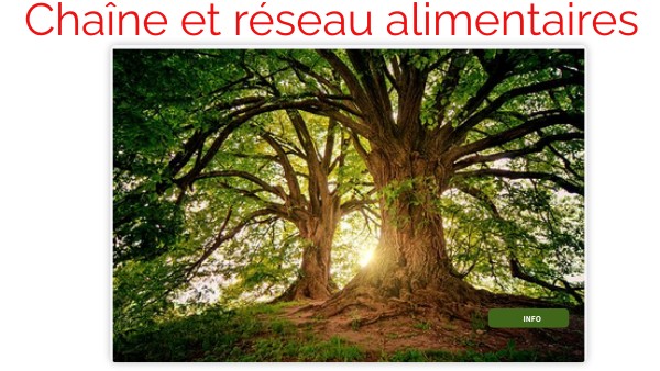 Chaînes et réseaux alimentaires | Genially