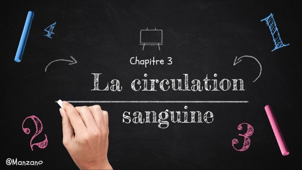 Circulation | Genially