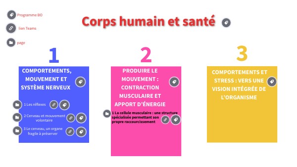 Corps humain et santé | Genially