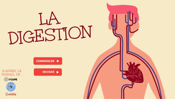 Digestion 6e | Genially