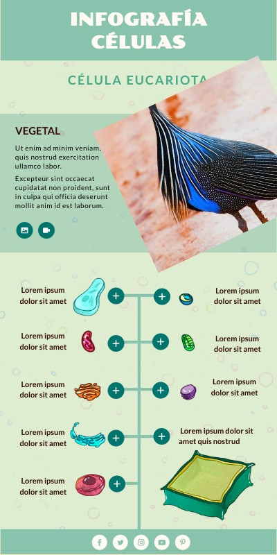 INFOGRAFIA MODULO 3 | Genially