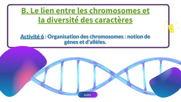 Activité 6 : organisation des chromosomes | Genially