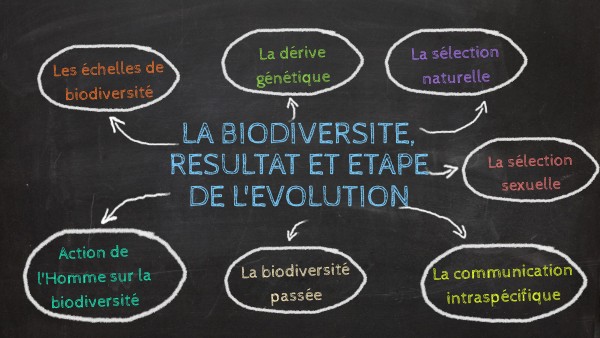 LA BIODIVERSITE, RESULTAT ET ETAPE DE L'EVOLUTION | Genially