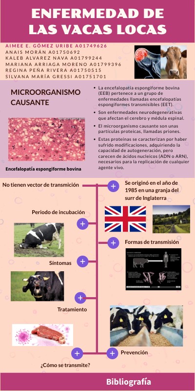 Enfermedad de las vacas locas | Genially