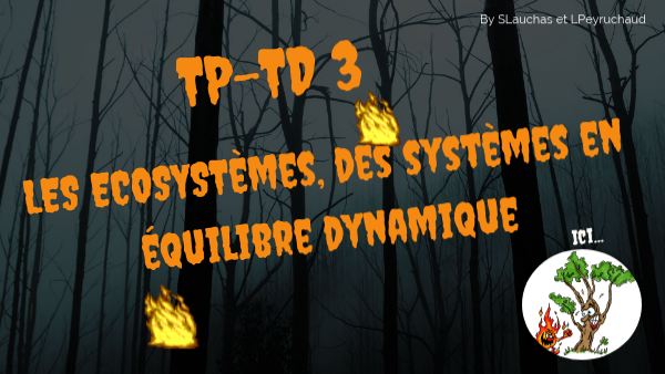 TP-TD 3 Les écosystèmes, des systèmes en équilibre dynamique | Genially