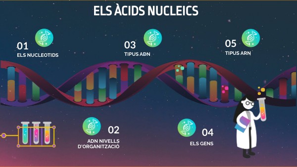 Bio 1r Batx - U3 Àcids nucleics | Genially