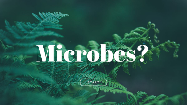 les microbes | Genially