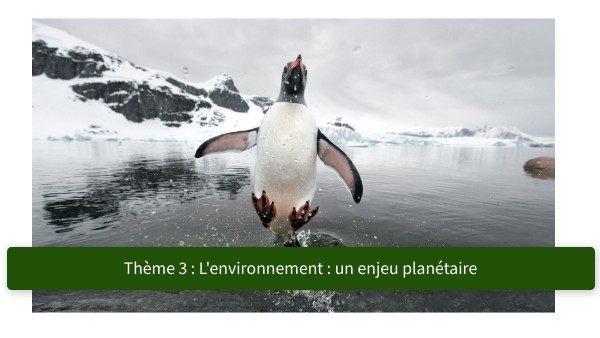 Thème 3 : Environnement