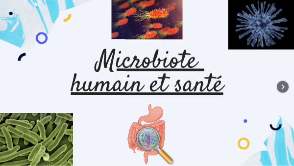 2nd_ Microbiote | Genially