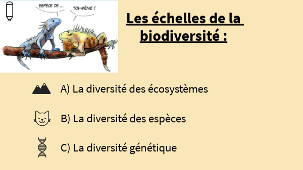2nd Activité 1_Biodiv