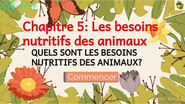 Chapitre 5-6ème- Activité 1