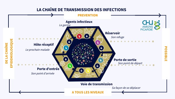 FIXE- La chaine de contamination | Genially