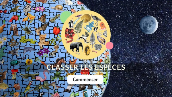 6ème - Classification | Genially