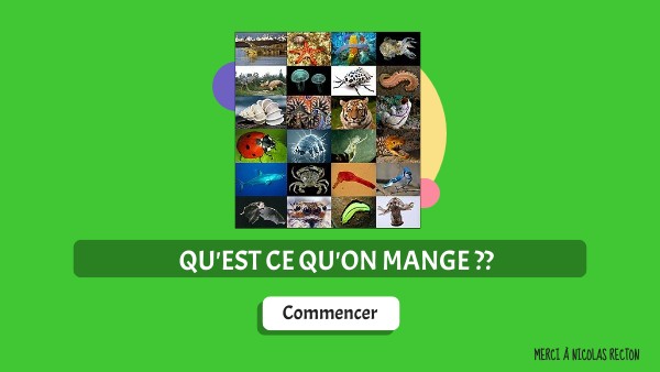 Que mangent les animaux ? | Genially