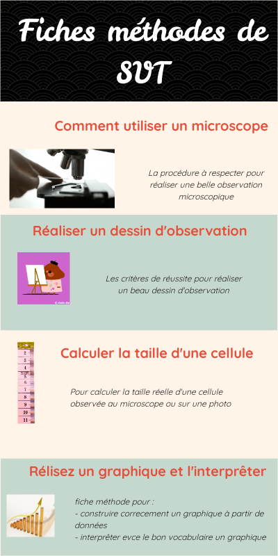 fiches méthode seconde | Genially