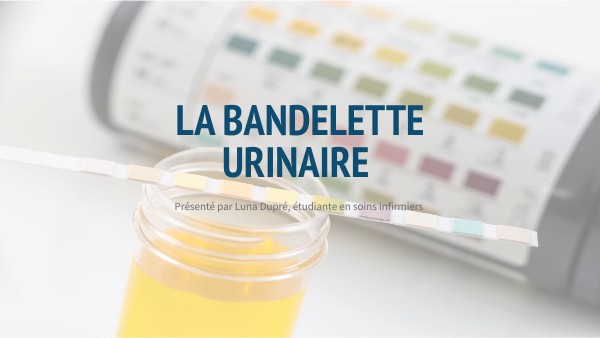 La Bandelette Urinaire | Genially