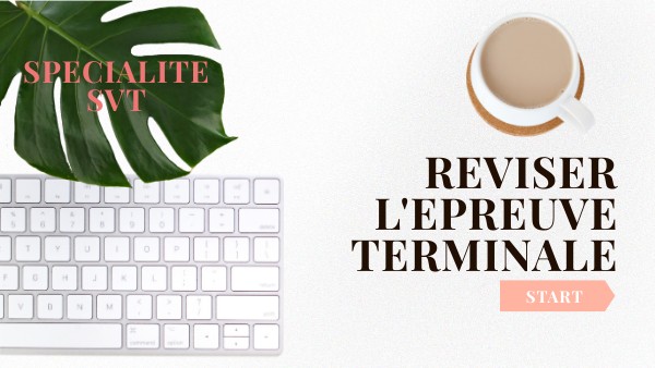 REVISION EPREUVE TERMINALE | Genially
