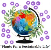 ”Plants for a Sustainable Life” - Collaborative Final Products