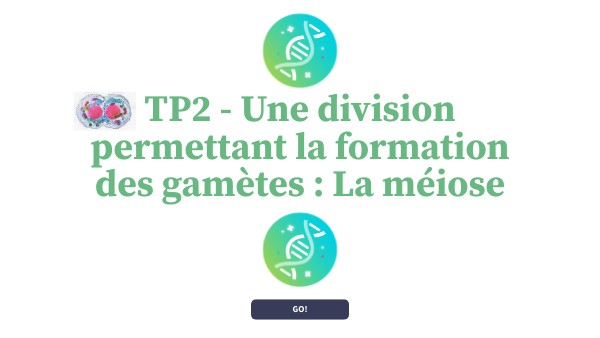 1spé - TP2-Méiose#