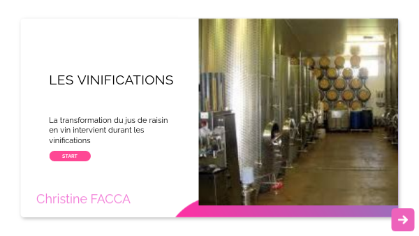 MC Les vinifications | Genially