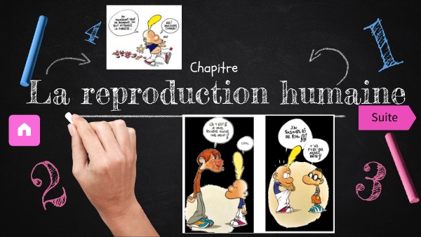4e reproduction humaine