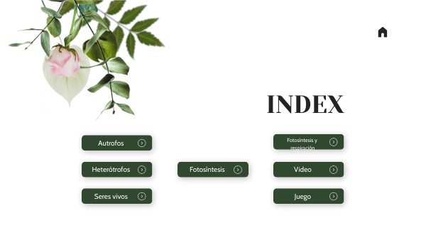 PLANTS PRESENTATION | Genially