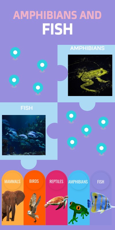 AMPHIBIANS, FISH AND COMPARING VERTEBRATES 3rd | Genially
