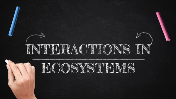 Interactions in ecosystems | Genially