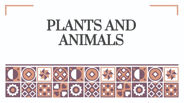 PLANTS AND ANIMALS 4th