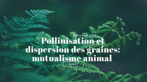 Spe_pollinisation_dispersion_graines_S_DALANE | Genially