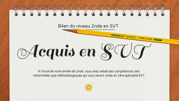 Bilan_2nde_2020 | Genially