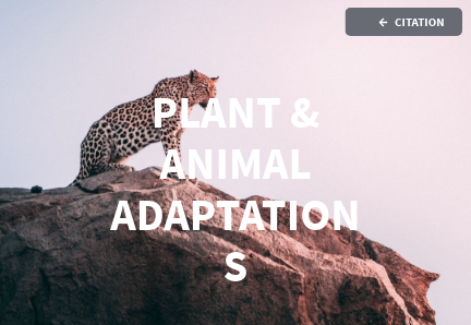 PLANT & ANIMAL ADAPTATIONS