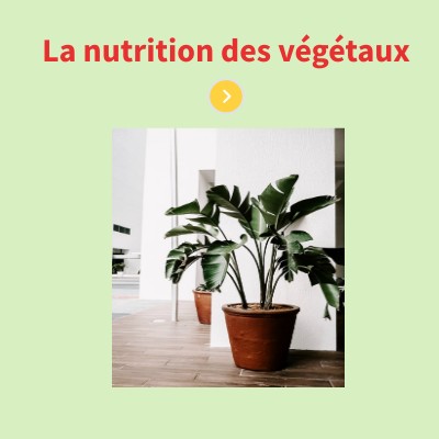FC Nutrition | Genially
