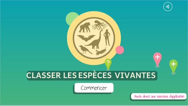 6_classification Définitif