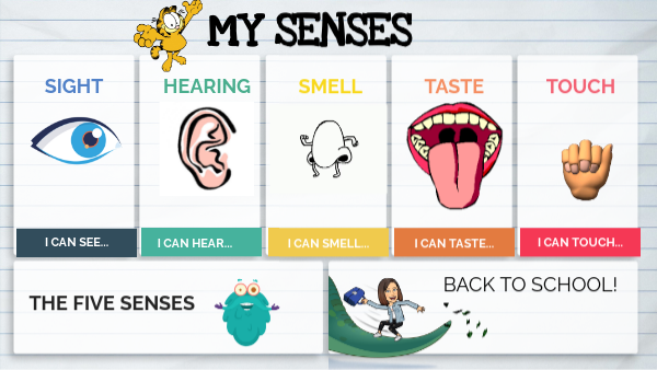ME SENSES (1º) | Genially