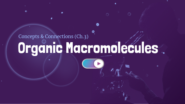 Organic Macromolecules