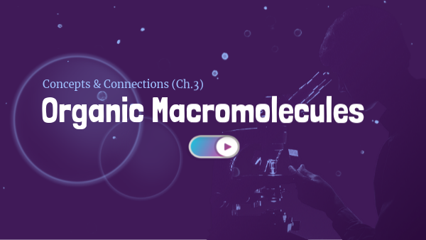 Organic Macromolecules