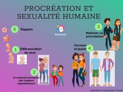 La procréation et la sexualité humaine copie | Genially