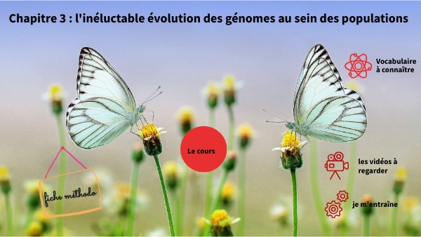 plan chap 3 evolution