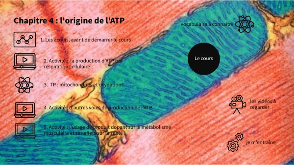 plan de travail chapitre 4 | Genially