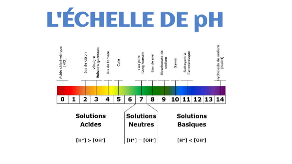 Échelle pH | Genially