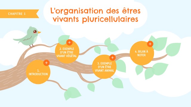 Fonction des végétaux + début métabolisme (seconde) | Genially
