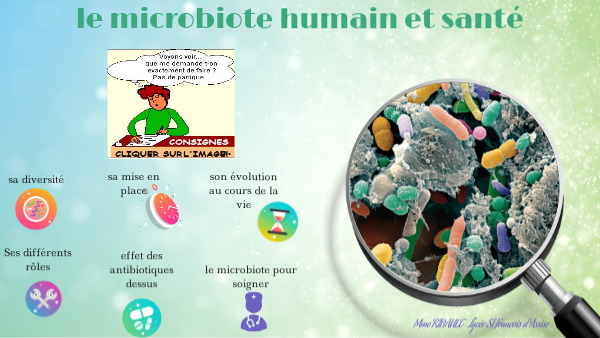 le microbiote humain et santé