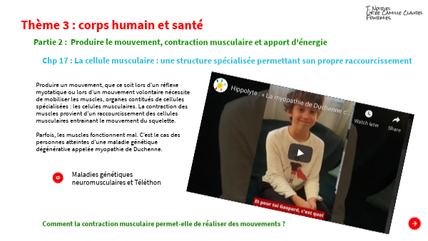 Chp 17 La cellule musculaire | Genially