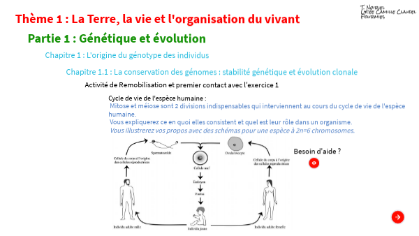 Chp1.1 Stabilité génétique et évolution clonale | Genially