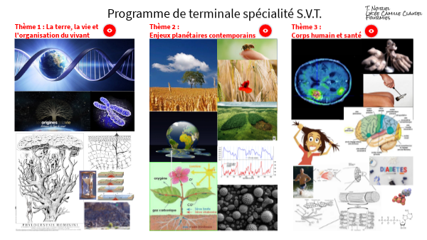 Programme terminale Spécialité | Genially